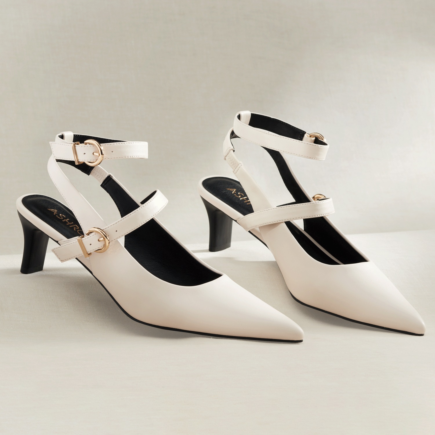 Double-Strap Pump | ASHRO